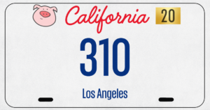 2025 Study: Top 20 Area Codes of 2024 - 25 - NumberBarn Blog