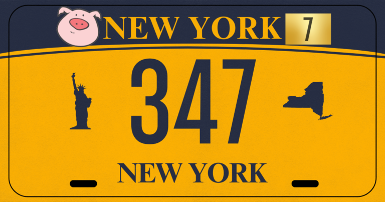 2025 Study: Top 20 Area Codes of 2024 - 25 - NumberBarn Blog