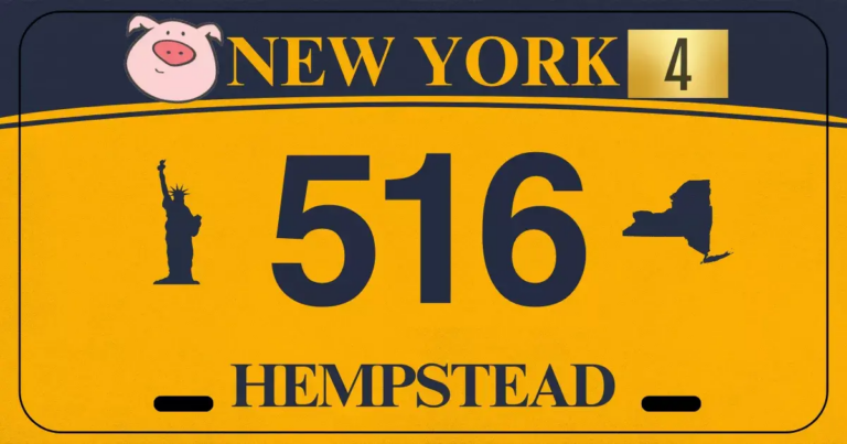 2025 Study: Top 20 Area Codes of 2024 - 25 - NumberBarn Blog