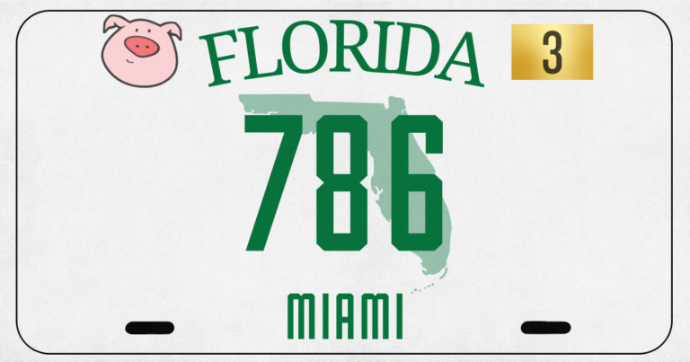 2025 Study: Top 20 Area Codes of 2024 - 25 - NumberBarn Blog