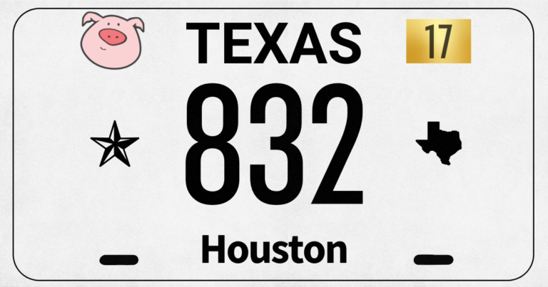 2025 Study: Top 20 Area Codes of 2024 - 25 - NumberBarn Blog