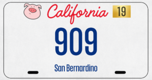 2025 Study: Top 20 Area Codes of 2024 - 25 - NumberBarn Blog