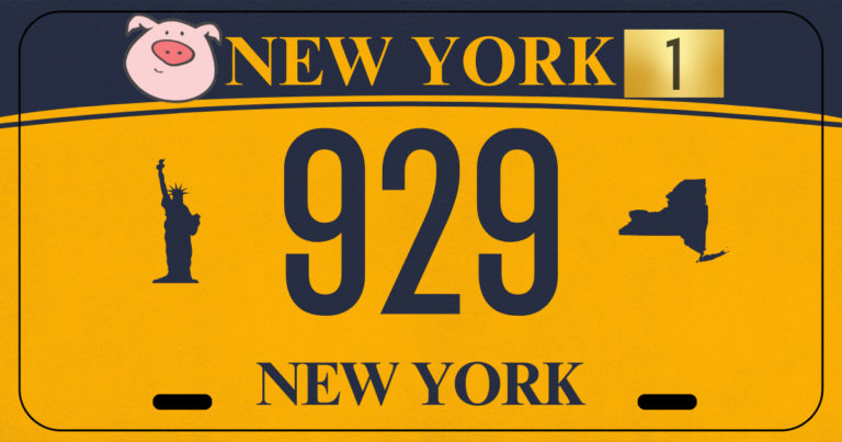 2025 Study: Top 20 Area Codes of 2024 - 25 - NumberBarn Blog