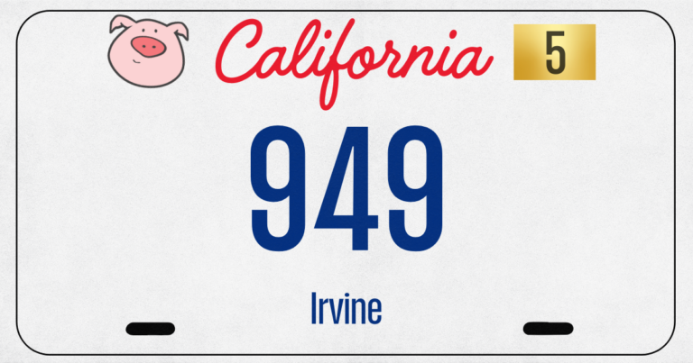 2025 Study: Top 20 Area Codes of 2024 - 25 - NumberBarn Blog