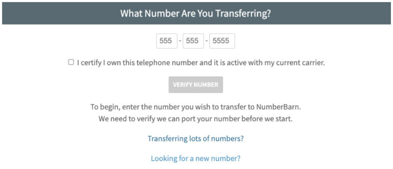 Phone Number Parking 101 (What Is it, and How Does it Work ...