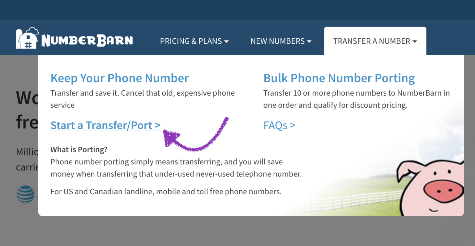 The Comprehensive Guide to International Call Forwarding - NumberBarn Blog